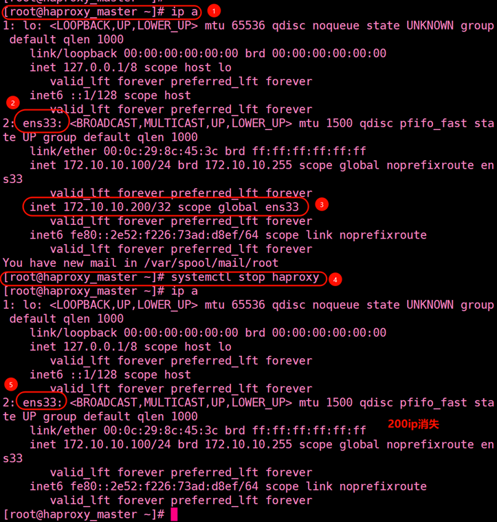 keeplived+haproxy 简单搭建 - bai老师的奇妙小网站